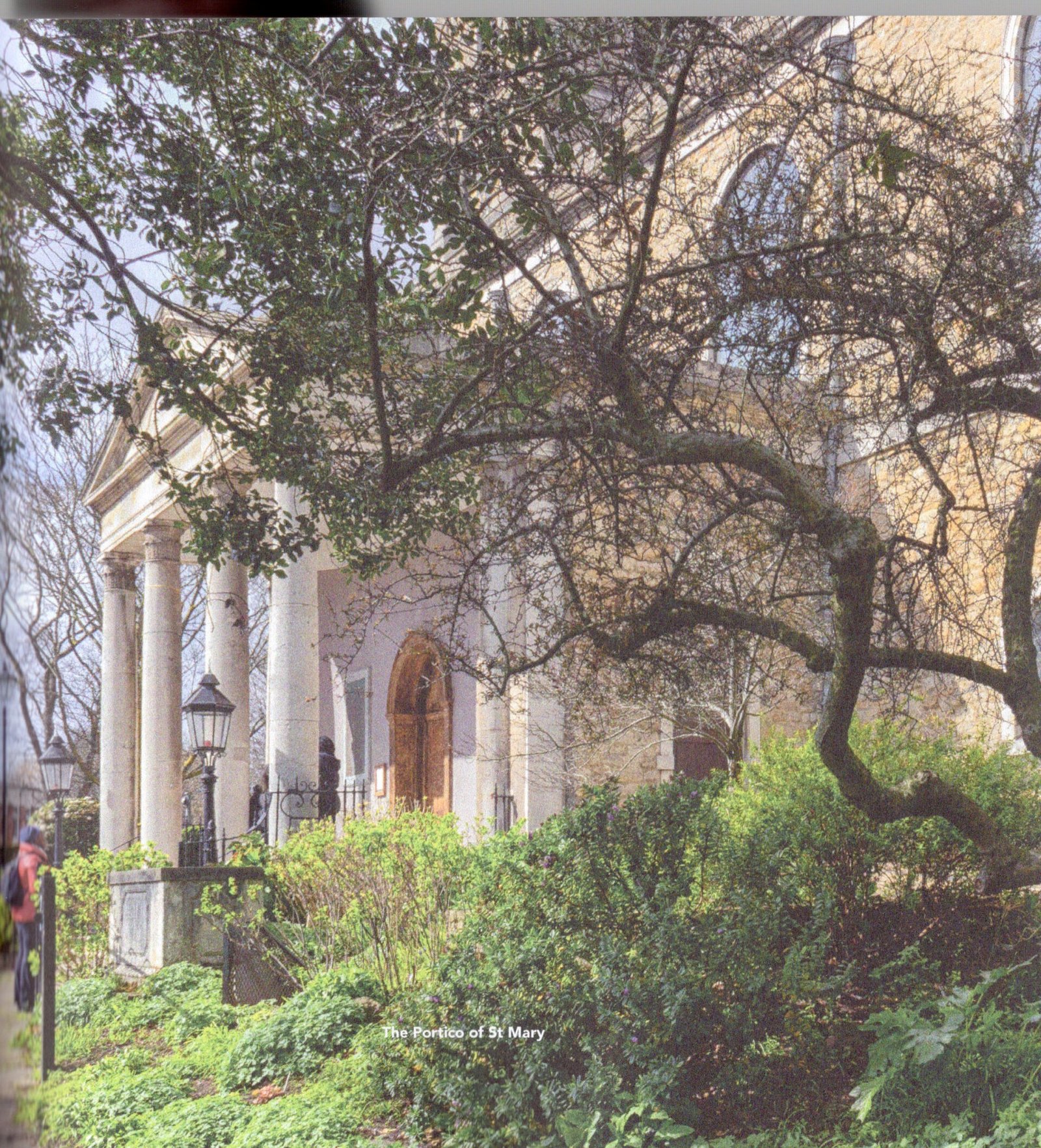 Green Lewisham: Lewisham resident's book on borough's treasure trove of ...
